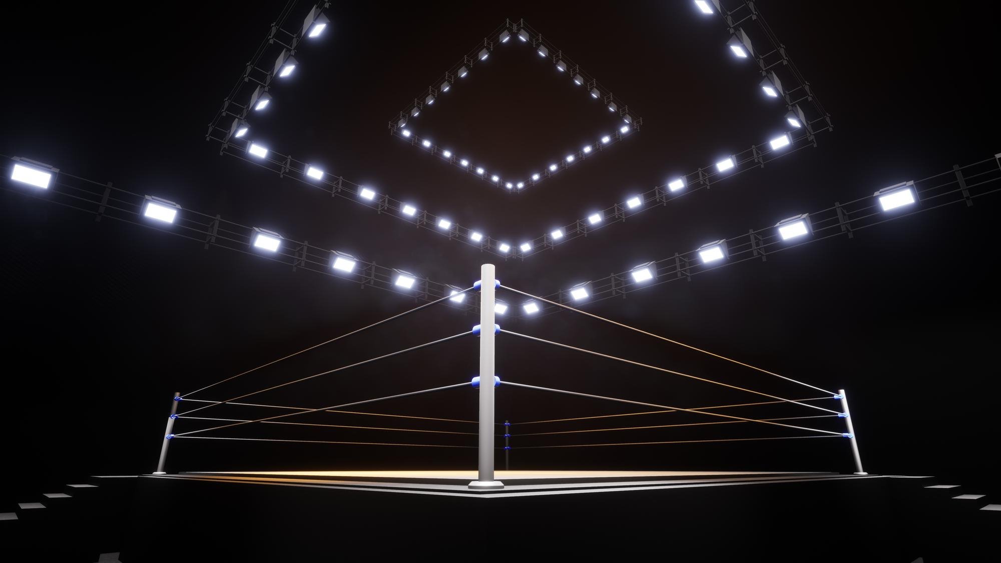 Boxeadores argentinos actuales: Los más destacados en 2024 | bplay